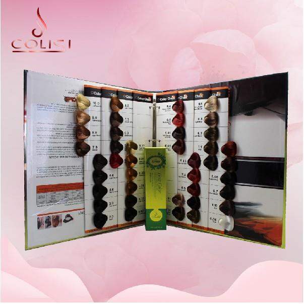 Bremod Colisi Hair Color Chart Updated and Complete Colors 2021 | Lazada PH