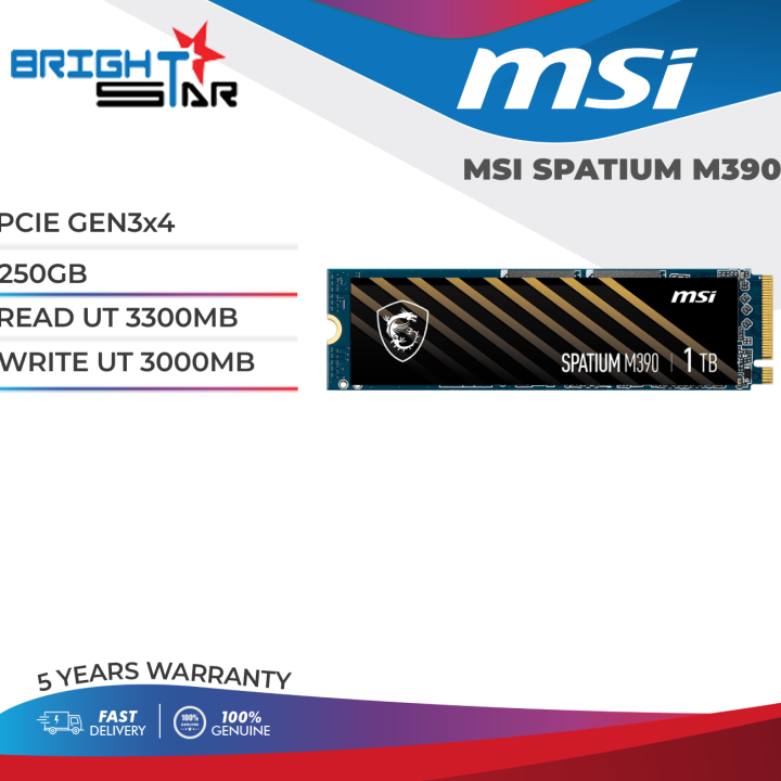 MSI SPATIUM M390 / PCIE GEN3x4 / 250GB / READ UT 3300MB / WRITE UT ...