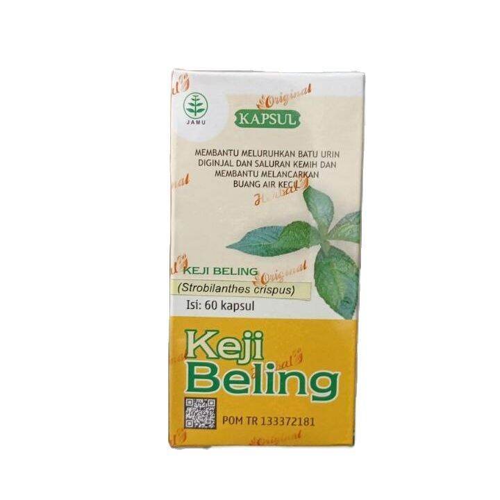 Kapsul Keji Beling Original Untuk Masalah Ginjal isi 60 kapsul | Lazada ...