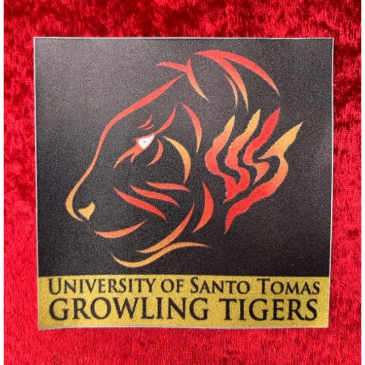 UST TIGER BLACK CAR STICKER | Lazada PH