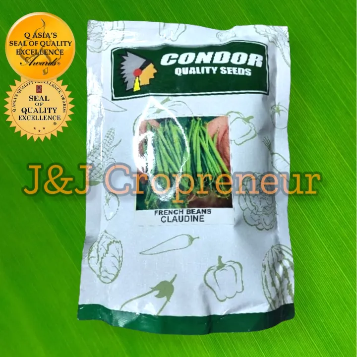 BUSH FRENCH BEANS (KILO) CLAUDINE BY CONDOR SEEDS | Lazada PH