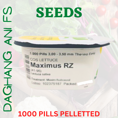 LETTUCE MAXIMUS RZ THERMO PILL 1000 PILLS PELLETTED SEEDS BY RIJK ZWAAN ...