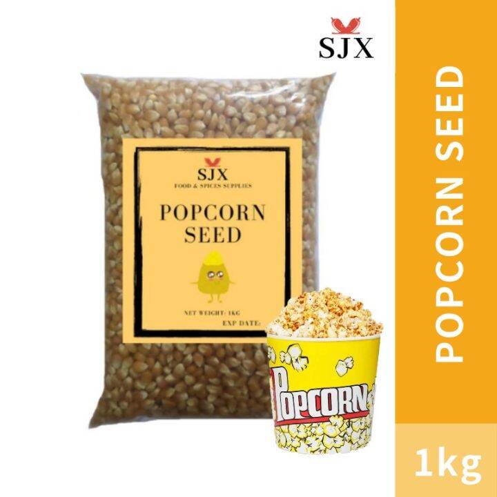 1kg Popcorn Kernel/Popcorn Seed - Cinema Snacks️Spice | Lazada PH