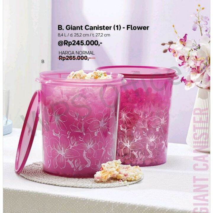 July Giant Canister Flower Tupperware (2) - Toples Tupperware - Toples ...