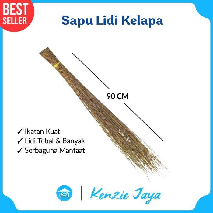 Sapu Lidi Tradisional Daun Kelapa Kering Kuat Tanpa Gagang | Lazada ...