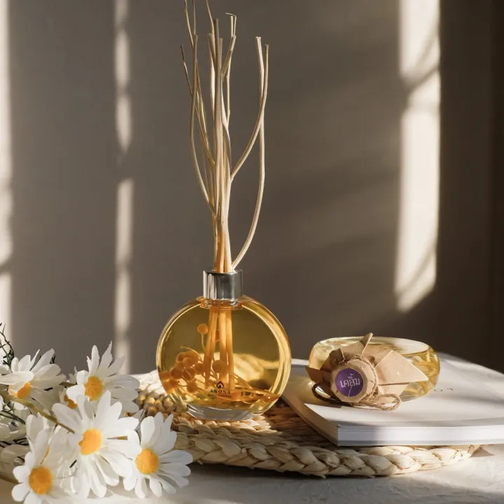 ANONA Thailand | Premium Reed Diffuser ก้านไม้หอมปรับอากาศเกรดพรีเมียม ...