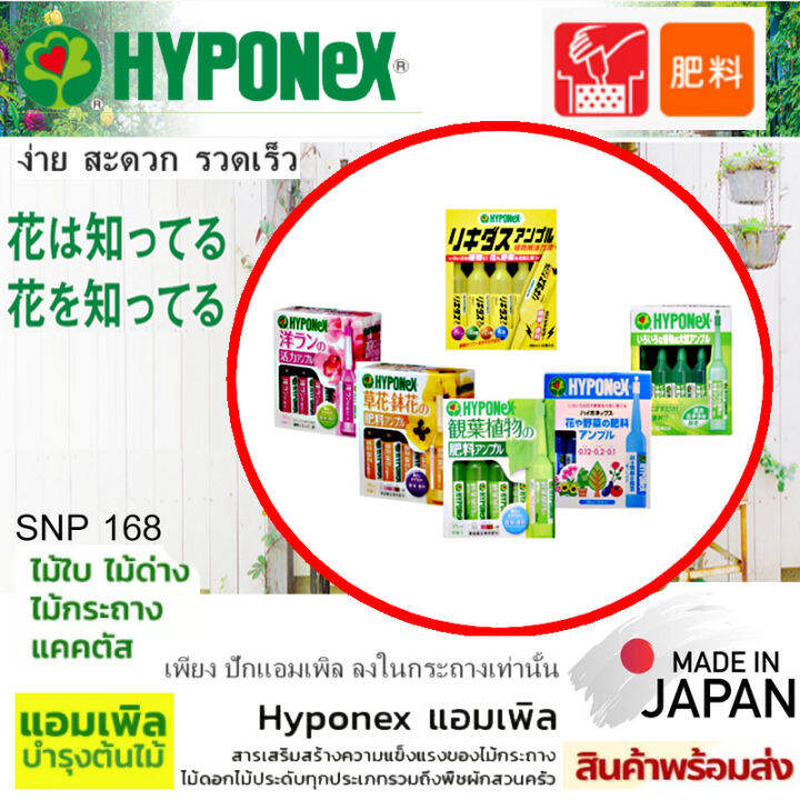 Hyponex Ampoule สีฟ้า (ไฮโพเนกซ์ แอมเพิล 10หลอด/1กล่อง) เร่งดอก เร่งสี ใช้ง่ายแค่ปัก นำเข้าจาก ...