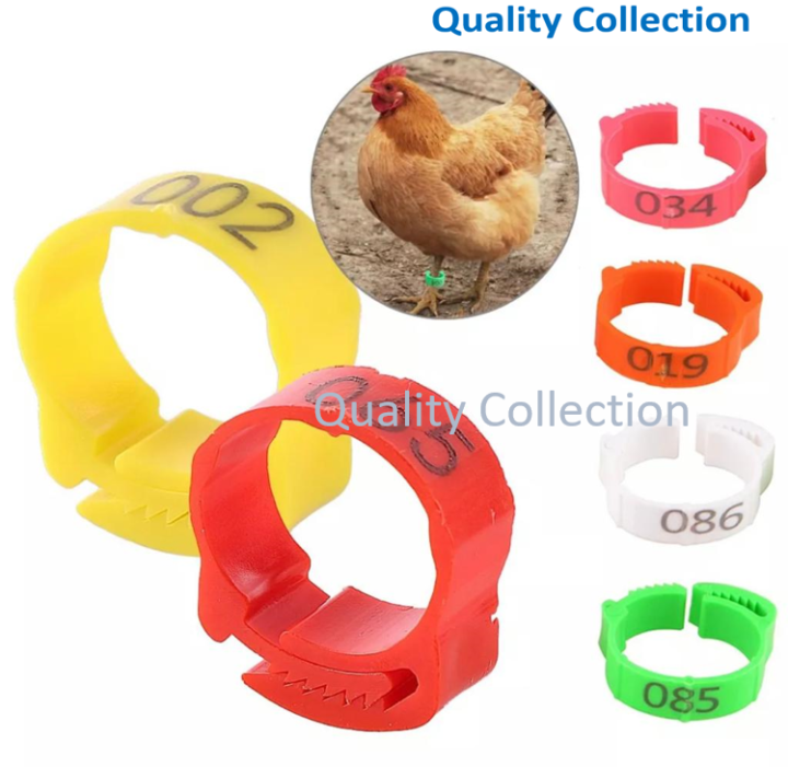 Chicken Foot Ring Adjustable Size Poultry Leg Bands Digital Label ...