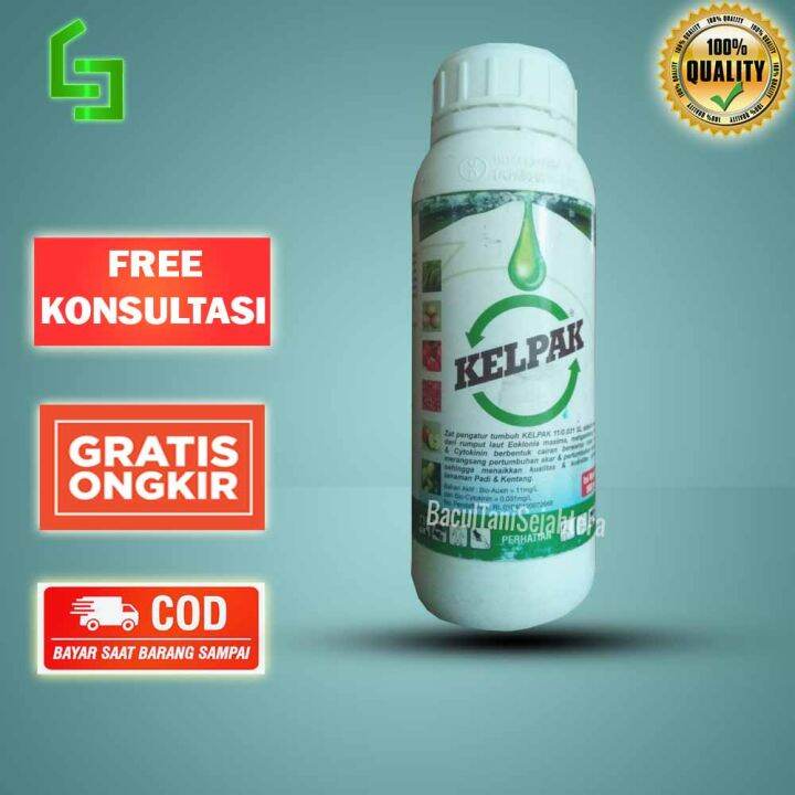 KELPAK 100 ML meningkatkan jumlah anakan, meningkatkan jumlah gabah/malai | Lazada Indonesia