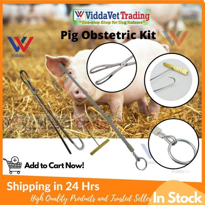 Swine Pig Obstetrical Midwifery Tools Kit Stainless Steel Forceps ...