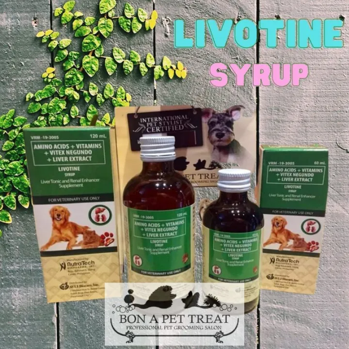 Livotine Syrup 60ml for Dogs and Cats | Lazada PH