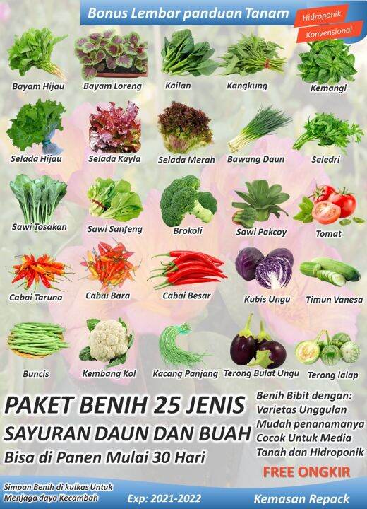 Paket Benih 25 Jenis Sayuran daun dan Buah | Lazada Indonesia
