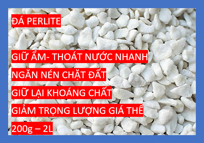 [200g-2L] ĐÁ PERLITE- ĐÁ TRÂN CHÂU cao cấp size 3-6mm dùng cho trộn giá ...