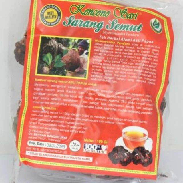 Teh Sarang Semut Curah Herbal Asli Original | Lazada Indonesia