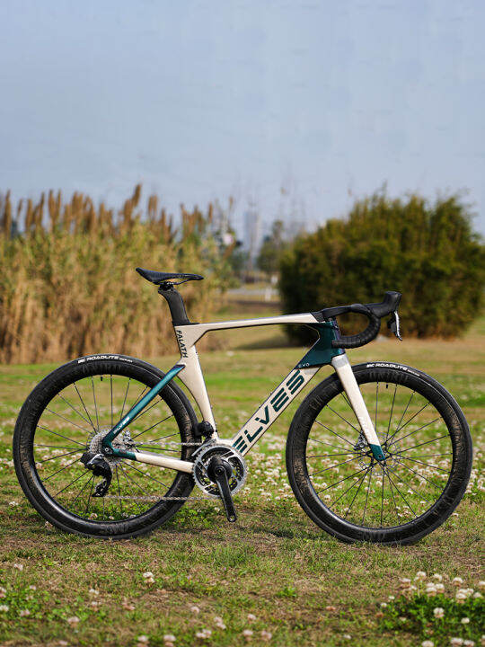 Elf Fallas EVO carbon fiber broken wind road bike for men and women ...