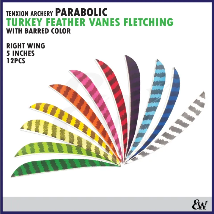 12 pcs TenXion 5" Turkey Feather Parabolic Vanes Archery Arrows Arrow ...