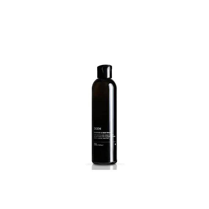 Bringing the essence of Japan to your home 【Launched in 2023】 ZIGEN Men's Scalp Shampoo Scalp ...