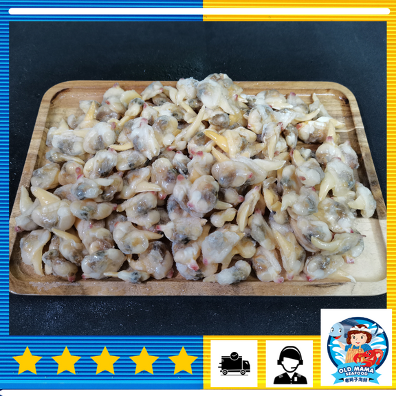 Golden Surf Clam Meat / 青柳蛤肉 (飞蛤肉)(500gm/pack) isi lala besar fresh ...