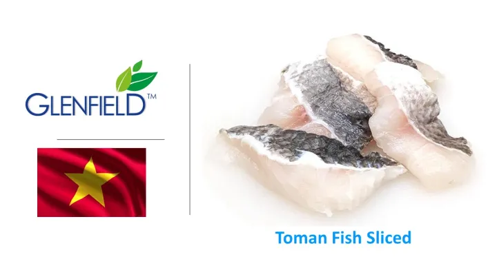 Toman Fish Sliced 500g | Lazada