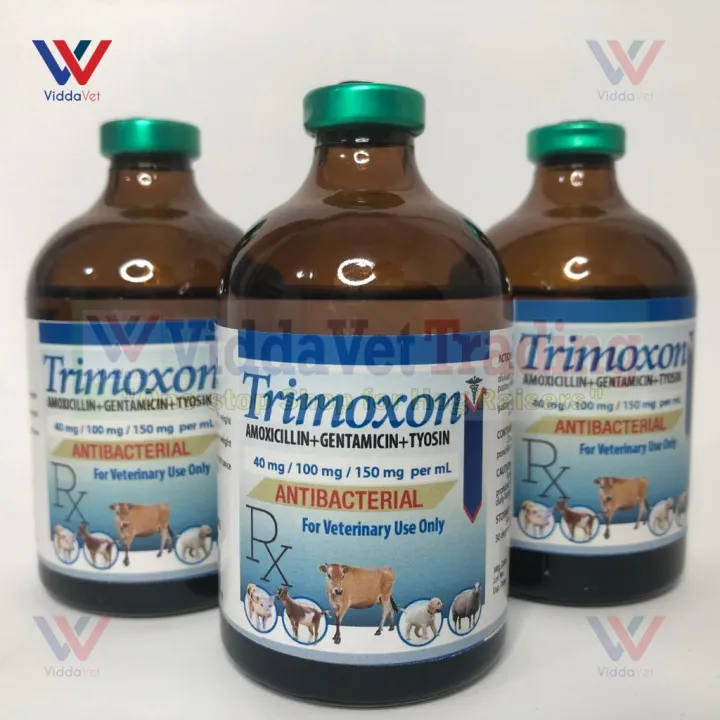 Trimoxon 100 ml Inj. | Lazada PH