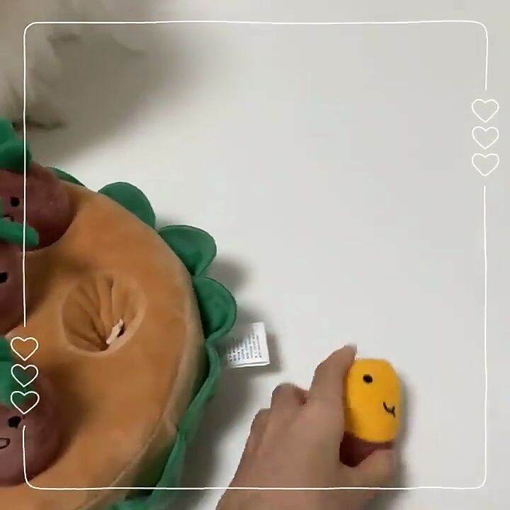 Hiqueen【พร้อมส่ง】ชุดของเล่นอาหารและตุ๊กตาเคี้ยวได้มีเสียงแบบโต้ตอบ ...