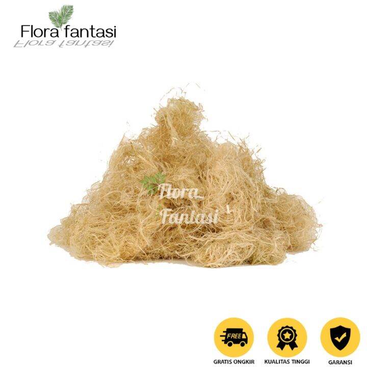 Cocofiber Sabut Serabut Kelapa Coco Fiber 1kg ( Untuk Tanaman Hias ...