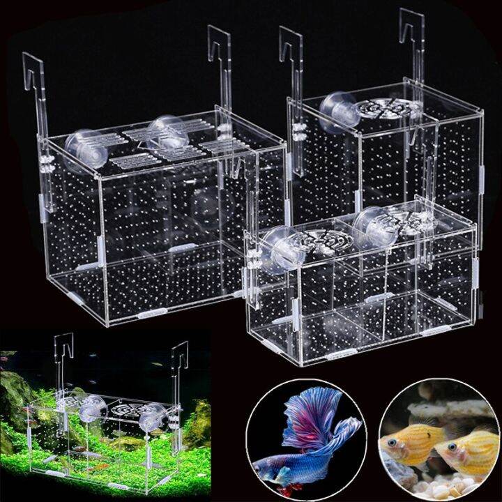 Acrylic Fish Tank Breeding Isolation Box Aquarium Hatchery Incubator ...