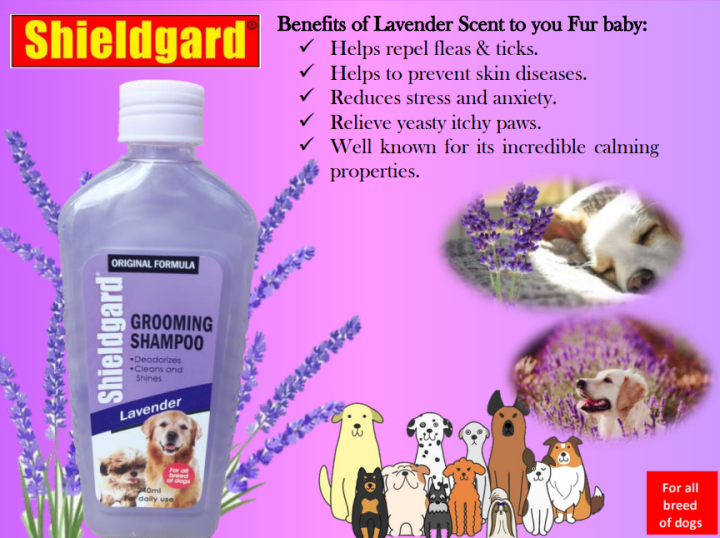 Lavender Scent Shieldgard Dog Grooming Shampoo 240ml | Lazada PH