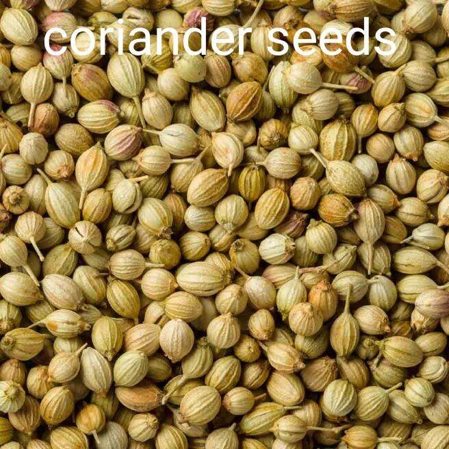 Indian coriander seeds 100g | Lazada PH