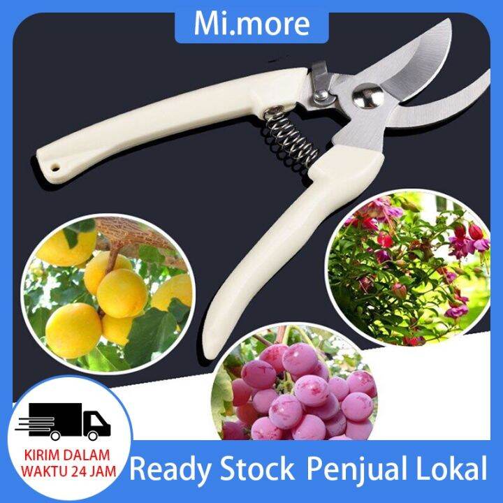Mi.more Taman Gunting Grafting Alat Stainless Steel Buah Pohon ...