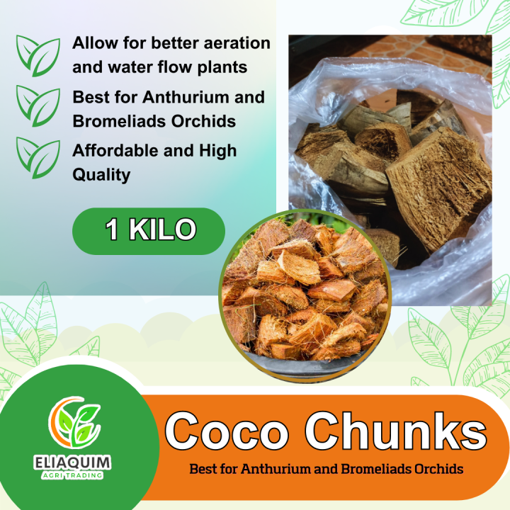 Coco Chunks 10 cm x 10 cm Chops for Gardening and Planting 1KG PER ...