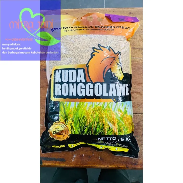 Benih Padi Unggul INPARI 32 KUDA RONGGOLAWE isi 5kg dr PT PETROKIMIA ...