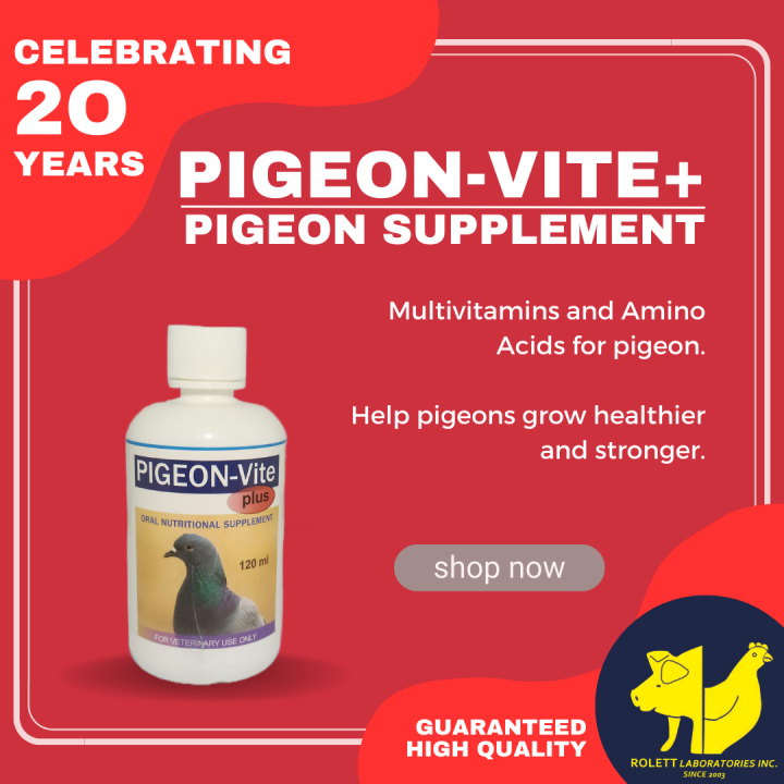Pigeon Vite+ | Lazada PH