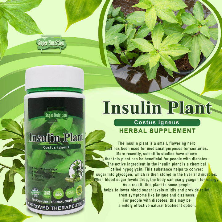 Insulin Organic Capsule 100's | Lazada PH