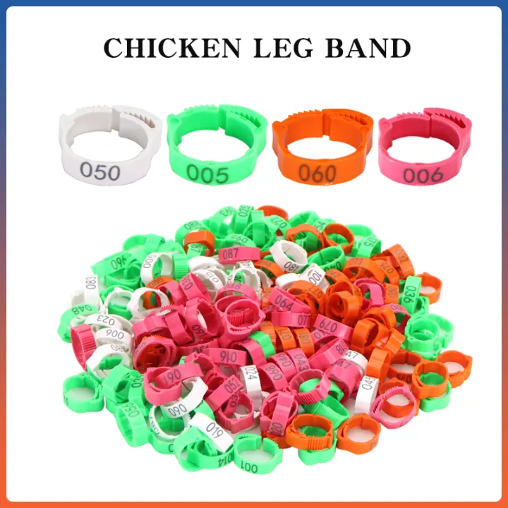 100Pcs Chicken Ring Tag Adjustable Chicken Leg Band for Gamefowl ...