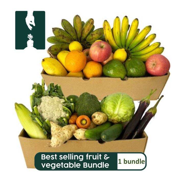 Best Selling Bundle (Fruits and Vegetables) - 2 boxes | Lazada PH