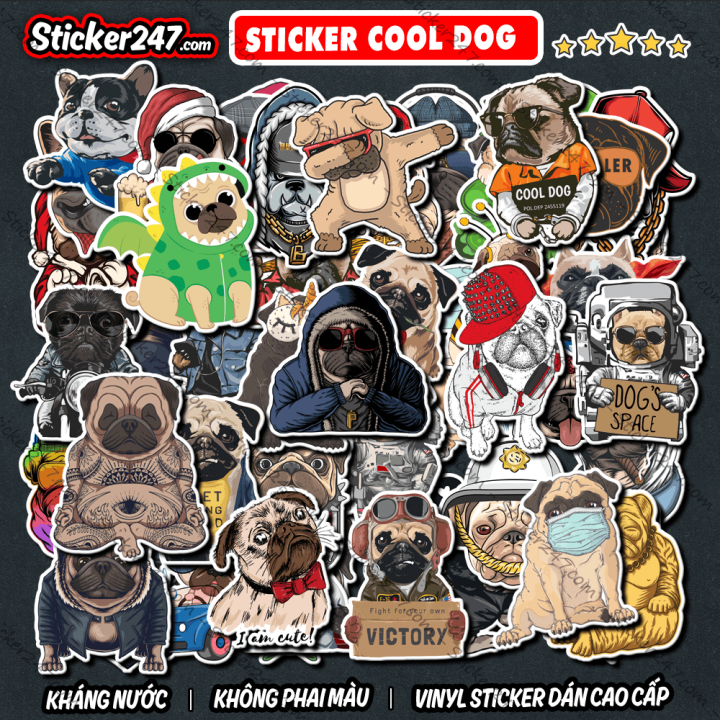 Sticker Con Chó Độc Lạ Cool Dog - Decal Dán Chống Nước, Sticker dán mũ ...