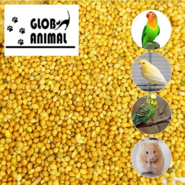 MILET KUNING ZAK 25KG pakan burung lovebird kenari millet yellow seed | Lazada Indonesia