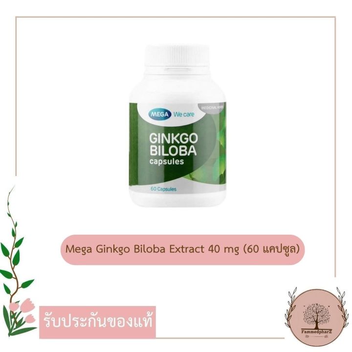 [โปร299.-] Mega Ginkgo Biloba Extract 40 mg (60 แคปซูล) เมก้า วี แคร์ ...