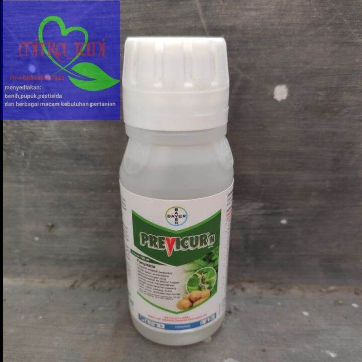 Fungisida Sistemik PREVICUR-N 722SL 100ml dari BAYER | Lazada Indonesia