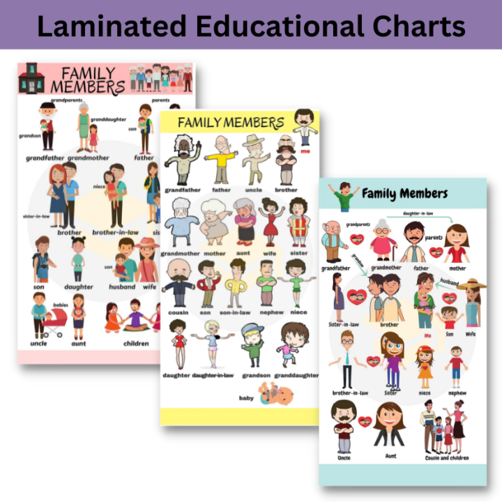 Laminated Family Members Charts, Men and Women in the Family Charts for ...