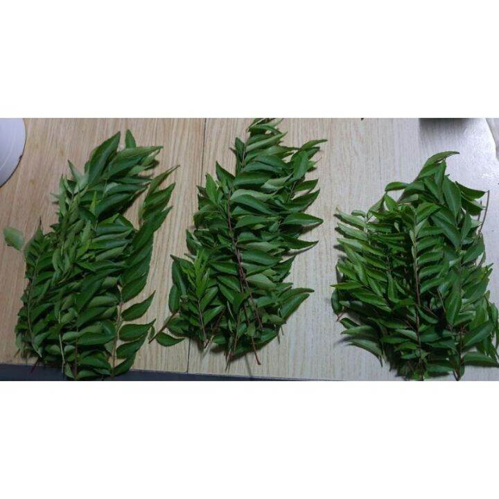 fresh curry leaves, organic , fresh harvest, 25 grams per pack, good ...