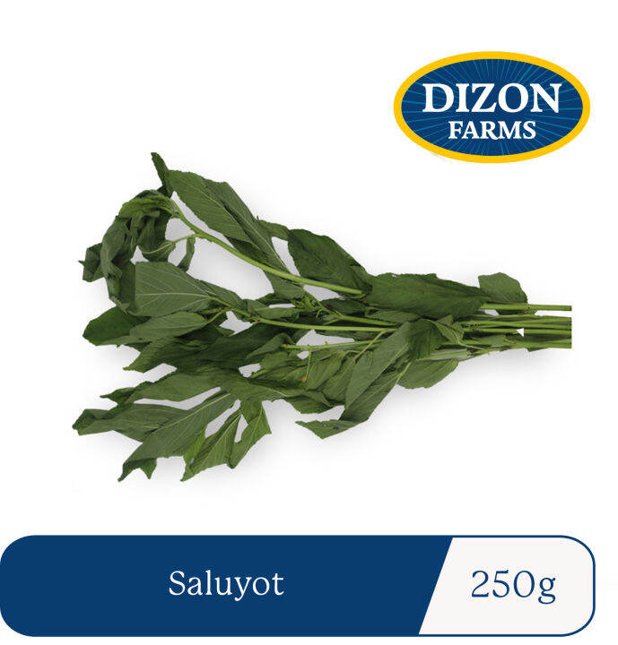 Dizon Farms - Saluyot / 250g | Lazada PH