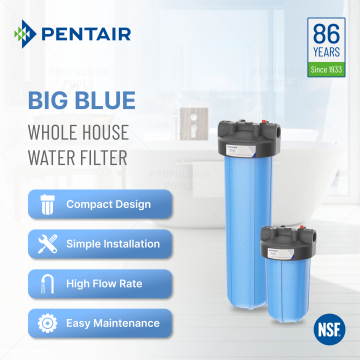Pentair Big Blue Housing Point of Entry Filtration System (20-Inch DGD ...