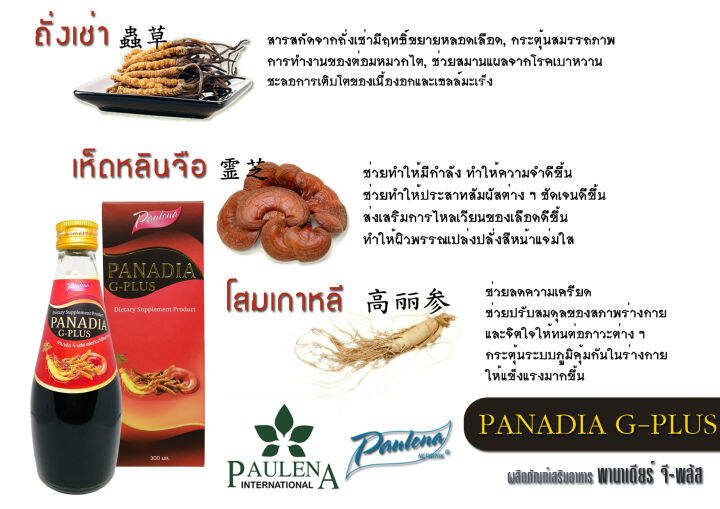 พานาเดียร์ panadia + ของแท้ เบิกใหม่ ไม่ค้างสต๊อก | Lazada.co.th