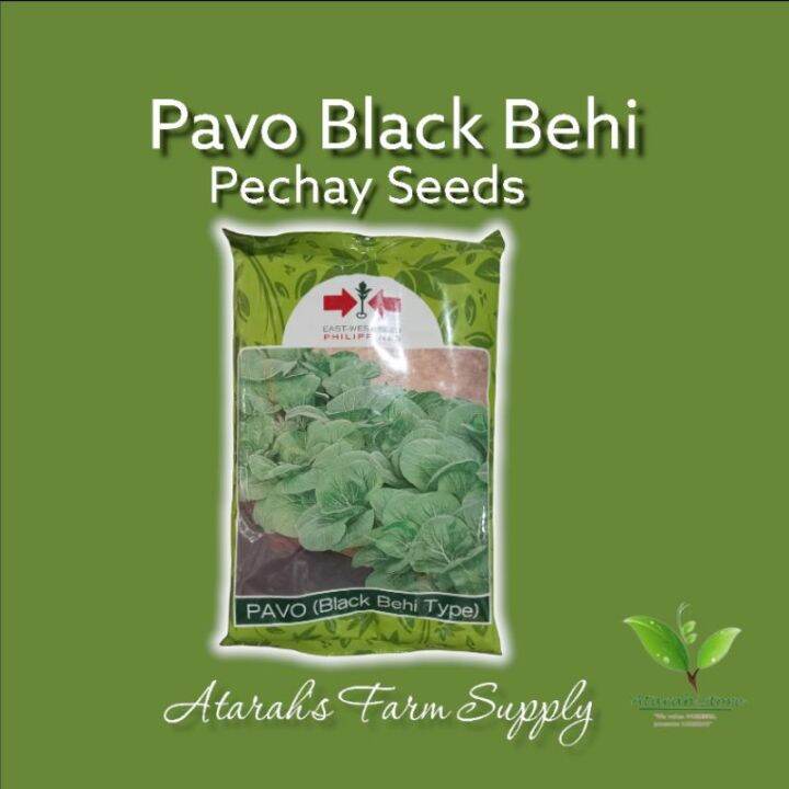 Hybrid PAVITO & PAVO Pechay (1kilo) East West Seeds | Lazada PH
