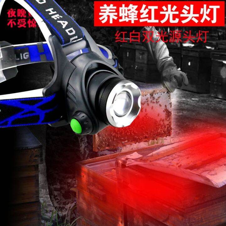Beekeeping Chafeng red headlight rechargeable without induction red and ...