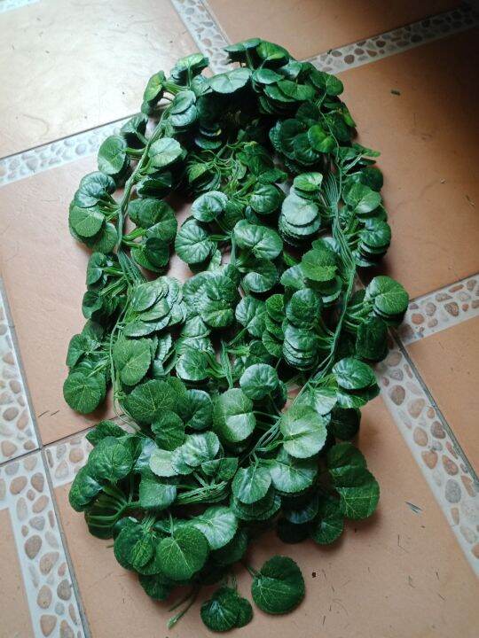 daun rambat artificial hijau 2meter | Lazada Indonesia