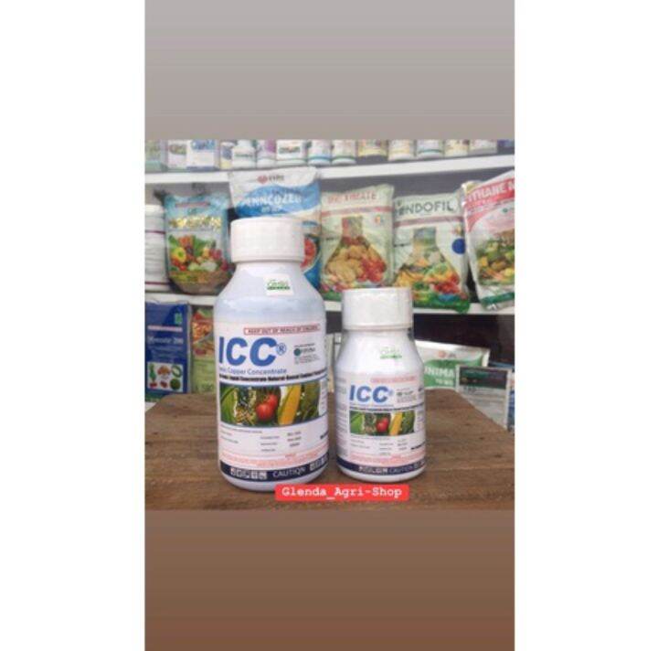 ICC Ionic Copper Concentrate ( 250 ml ) | Lazada PH