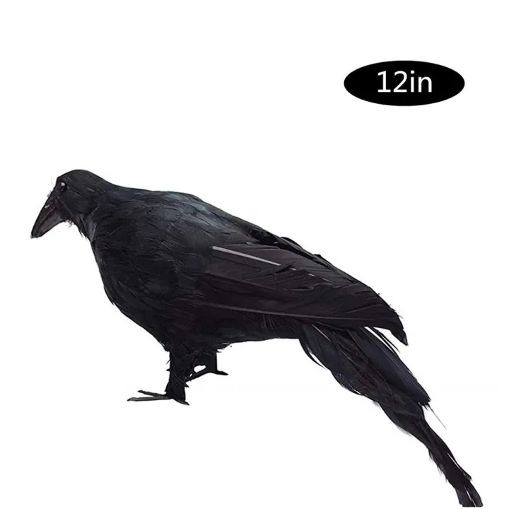 1/2* - Black Lifesize Raven Movie Prop Fake Crow Halloween Hunting ...